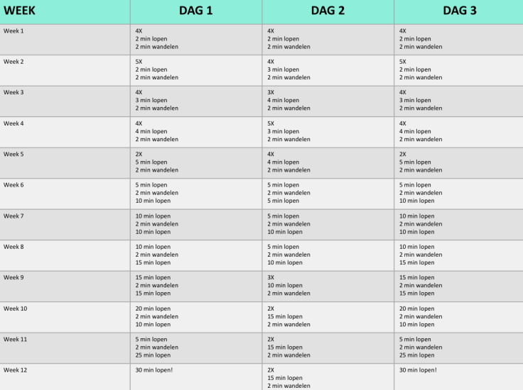 Fitbees loopschema voor beginners – FitbeesBlog